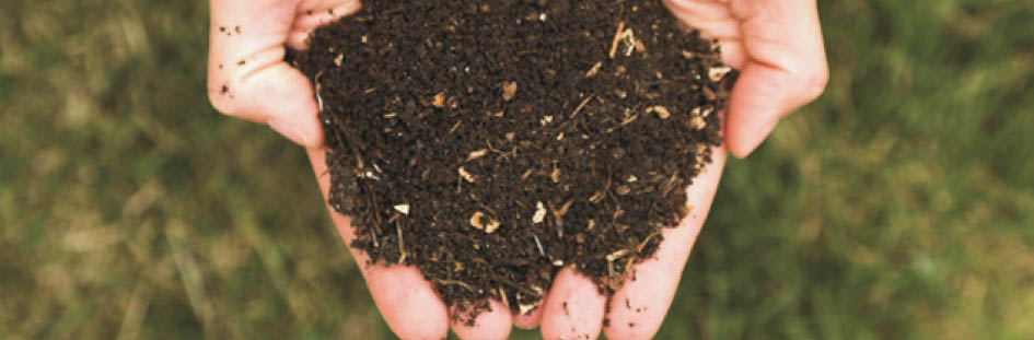 Compostero 60 Lts Aprenda a hacer compost con residuos orgánicos